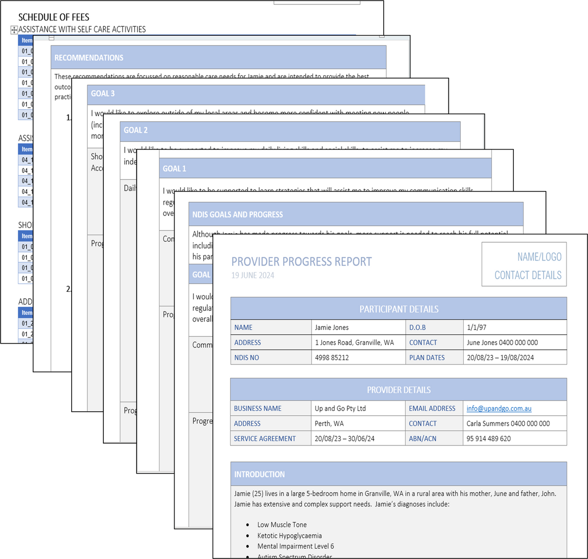 NDIS Progress Report | NDIS Plan Review | supporttoyou