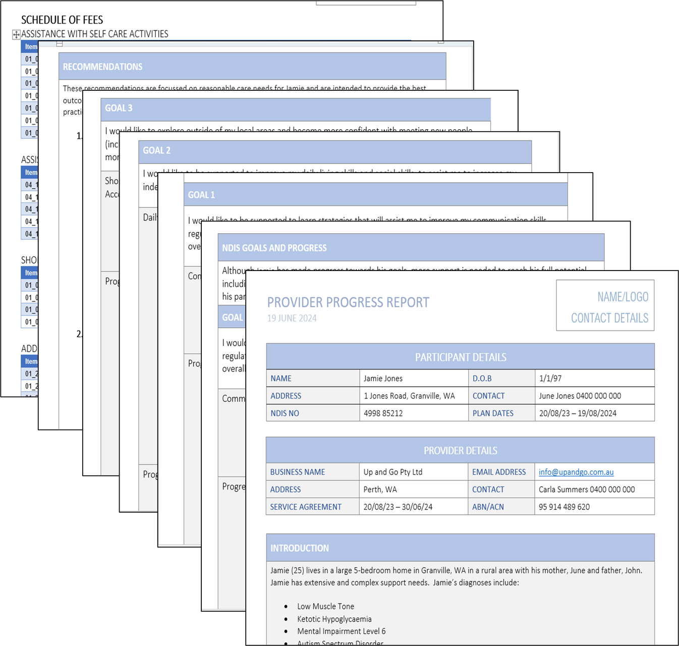 NDIS Progress Report | NDIS Plan Review | supporttoyou